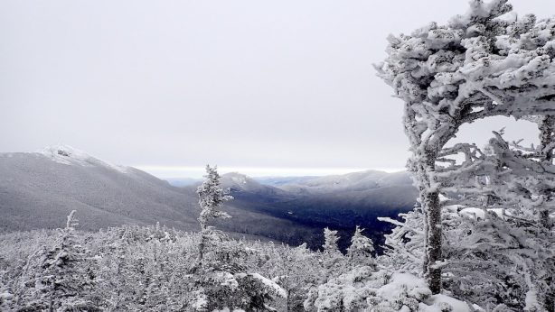 winter Archives - Wild Boyz Photography