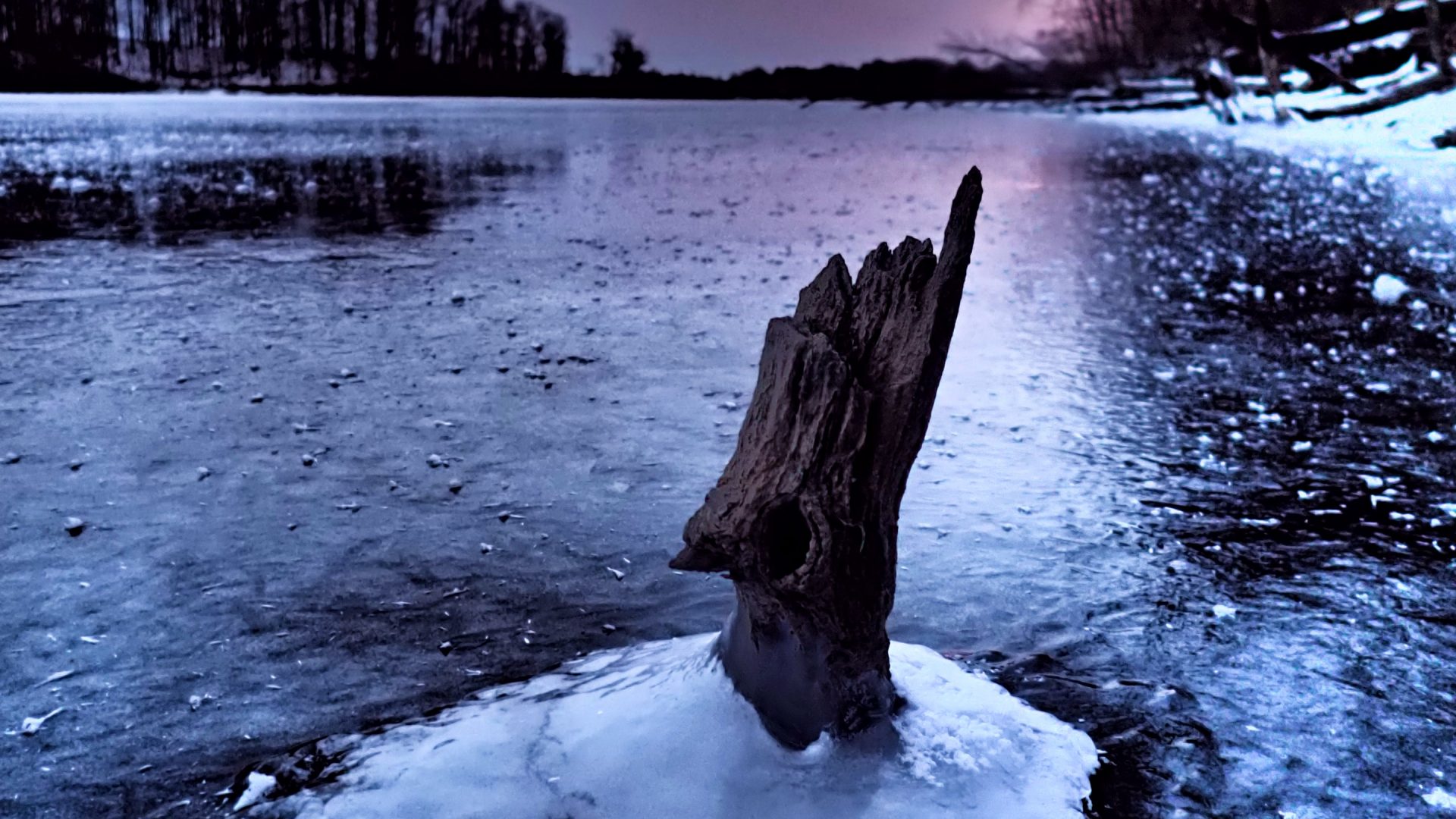 Frozen Log Sunset