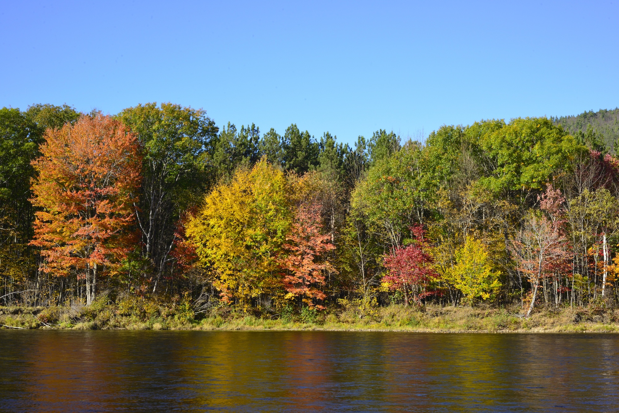 Androscoggin River Maine - Wild Boyz Photography