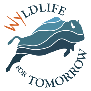 Wyldlife Fund