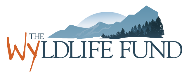 Wyldlife Fund