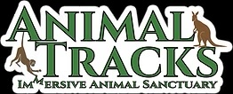 Animal Tracks