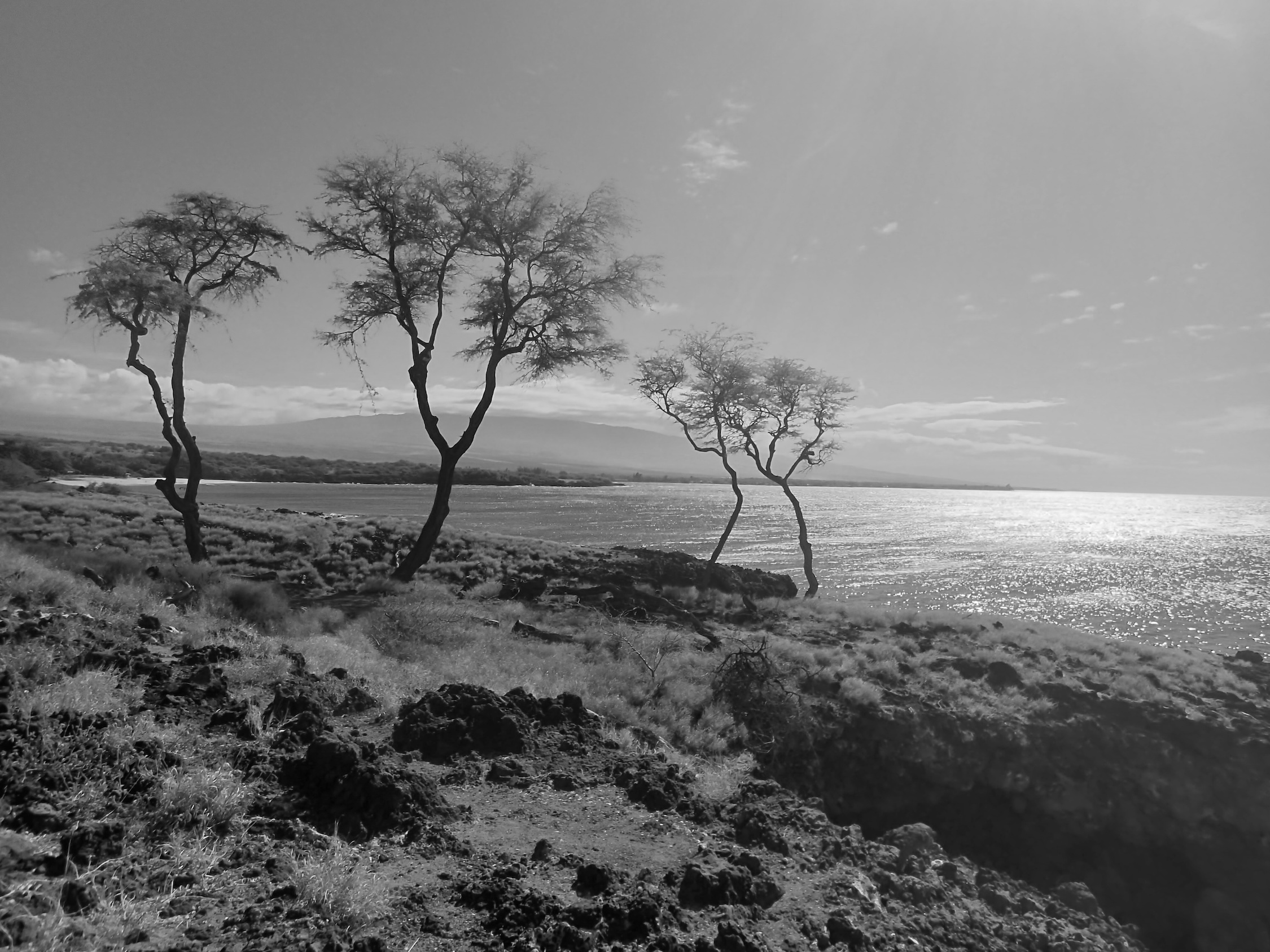 Kauna’oa Point - Wild Boyz Photography