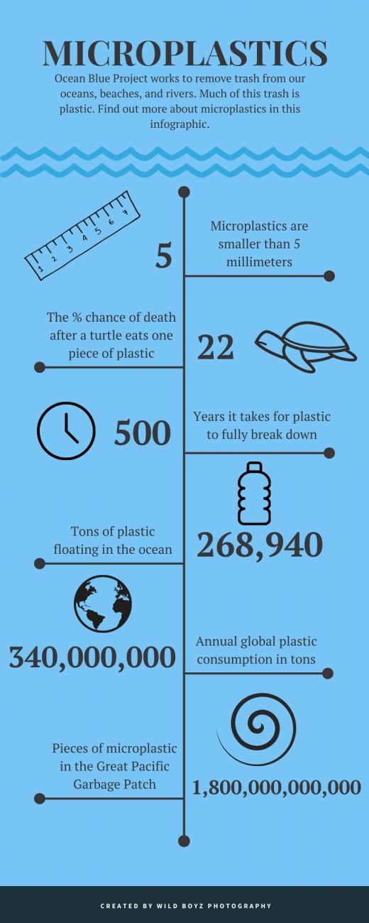 Microplastics Infographic